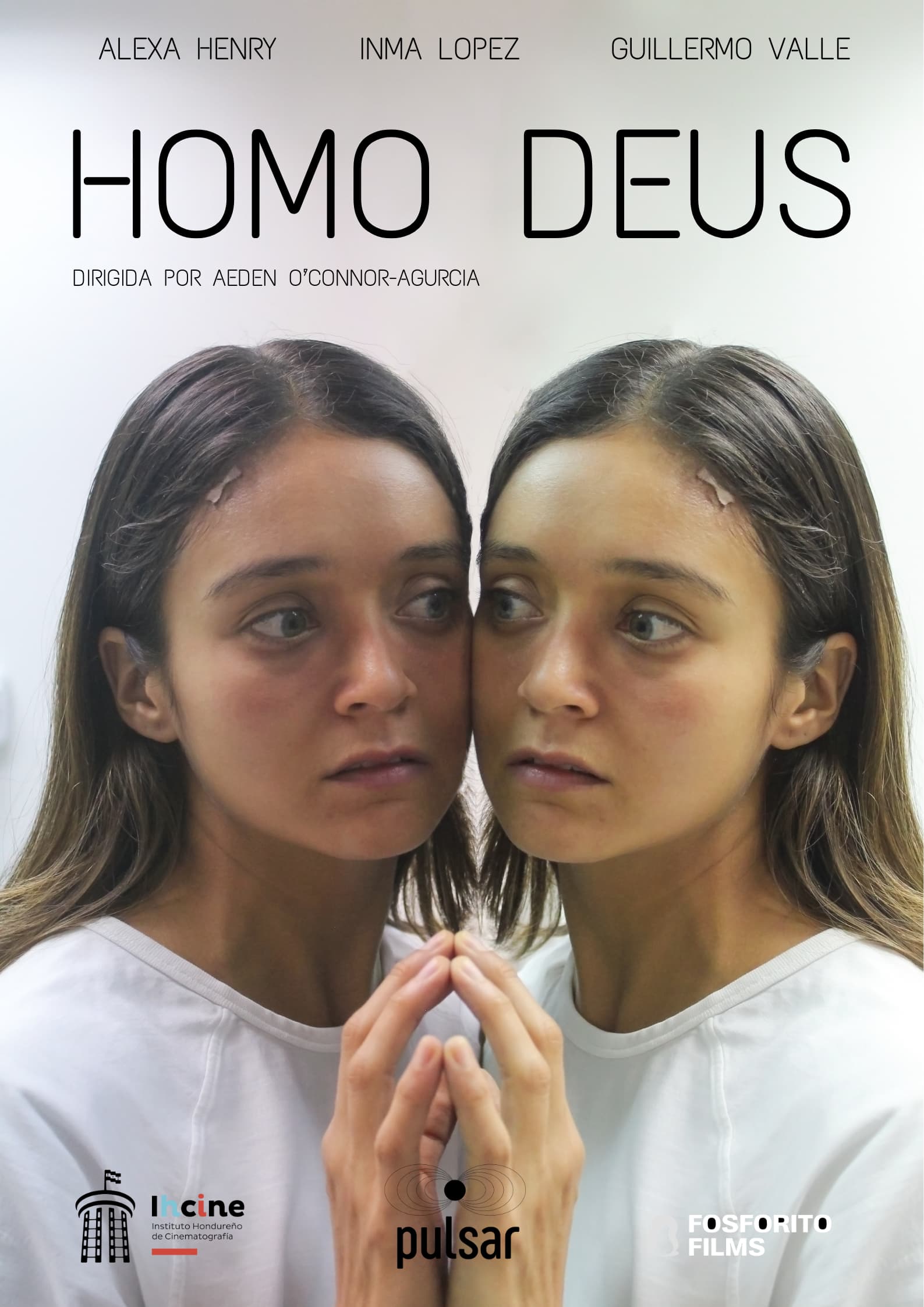 IHCINE Distribución